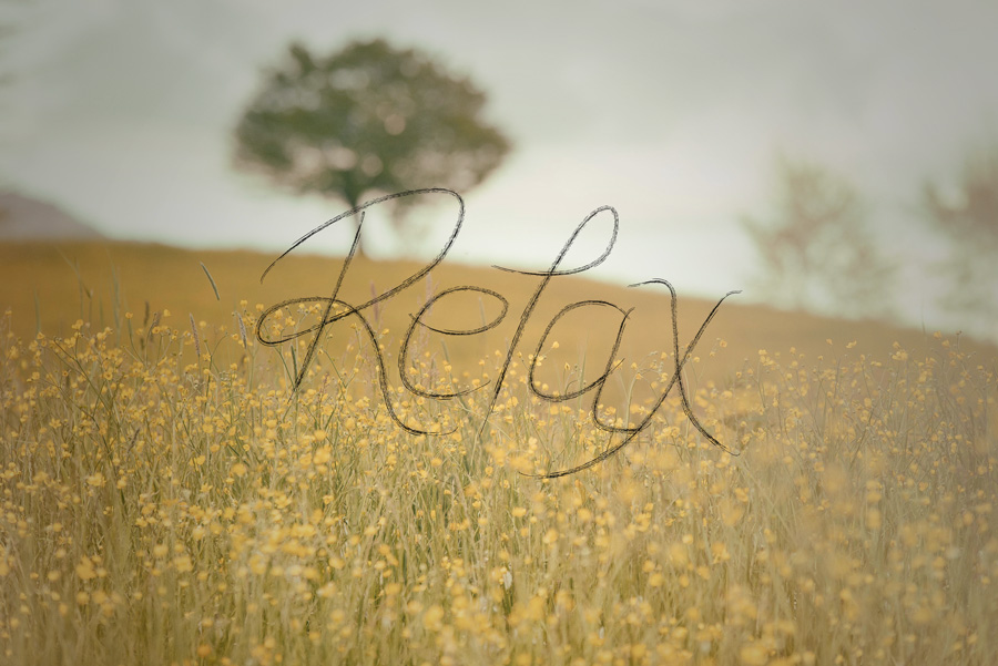 Quick Tip: Instant Digital Brush Hand Lettering in Illustrator — Medialoot