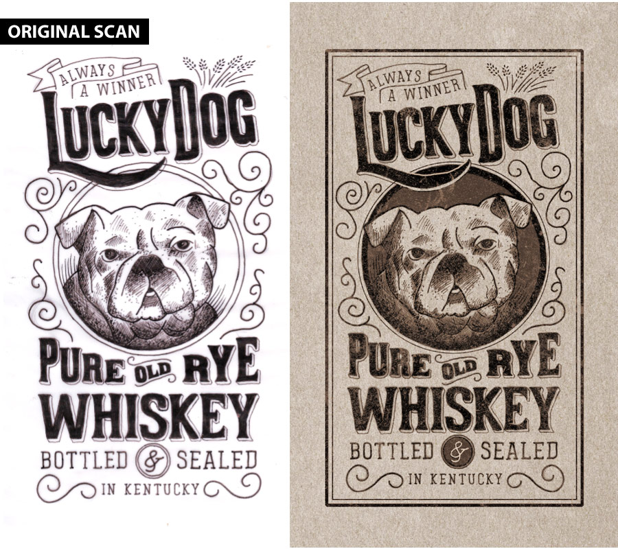 How to Create a Hand Drawn Label Design | Medialoot